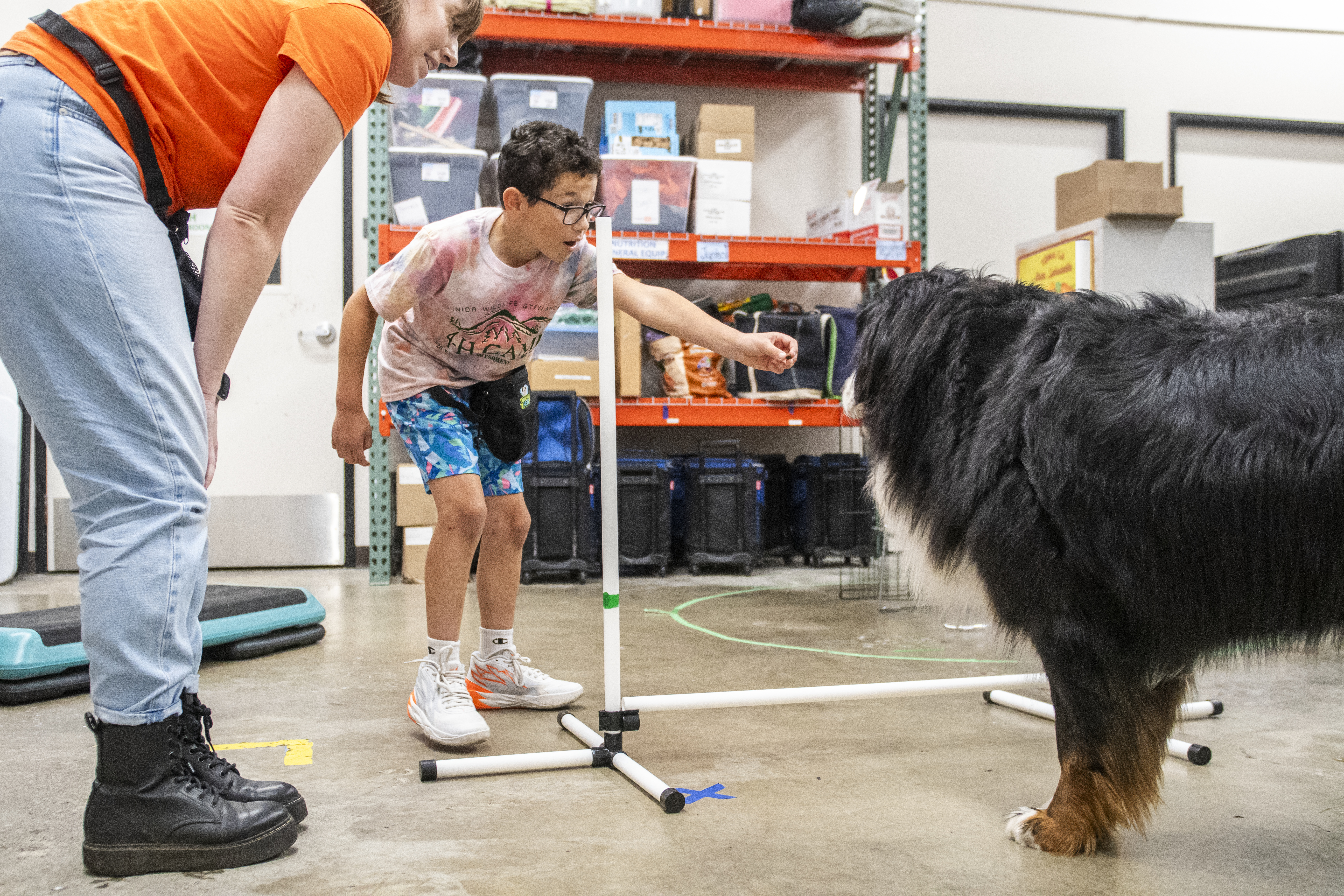 Animal Assisted Interventions (AAI) | Human-Animal Interaction Lab