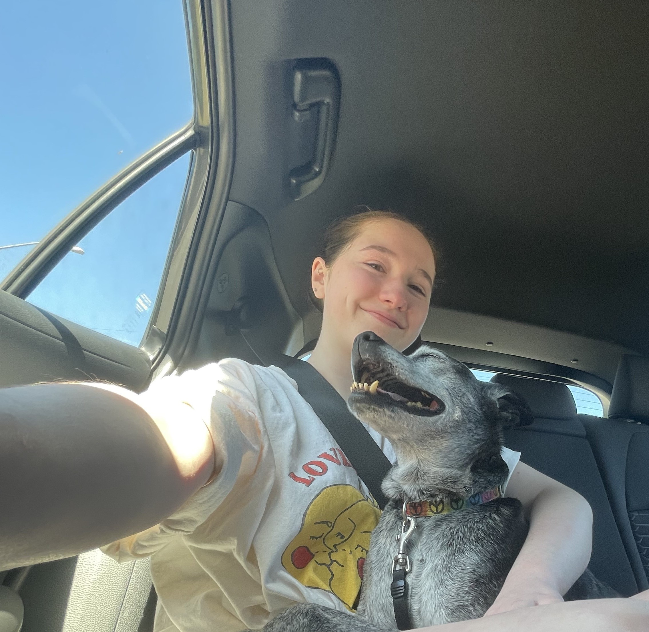 Meet the Team | Human-Animal Interaction Lab